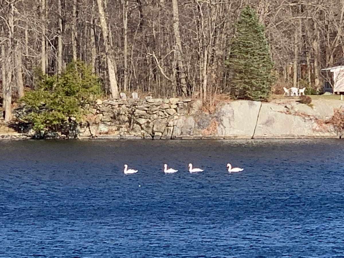 School Board Proposal Defeated